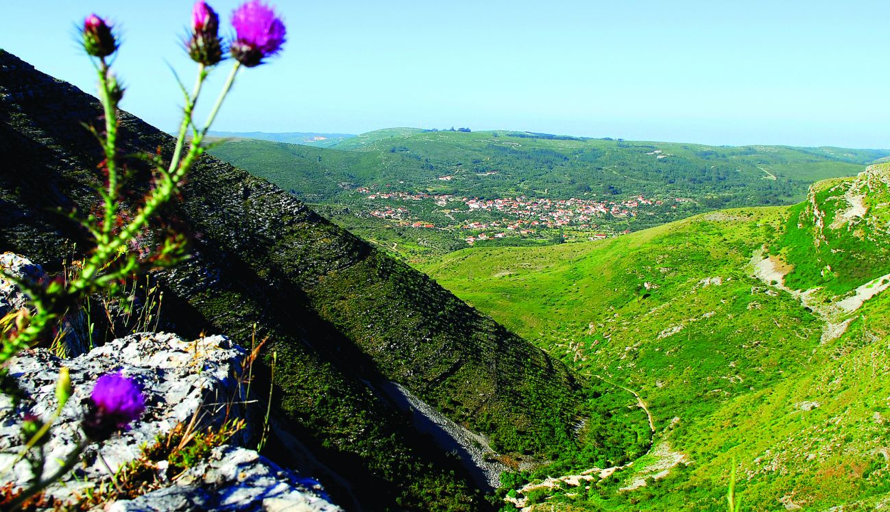 Jornal de Leiria - PNSAC exibe raridades da fauna e da flora em Portugal