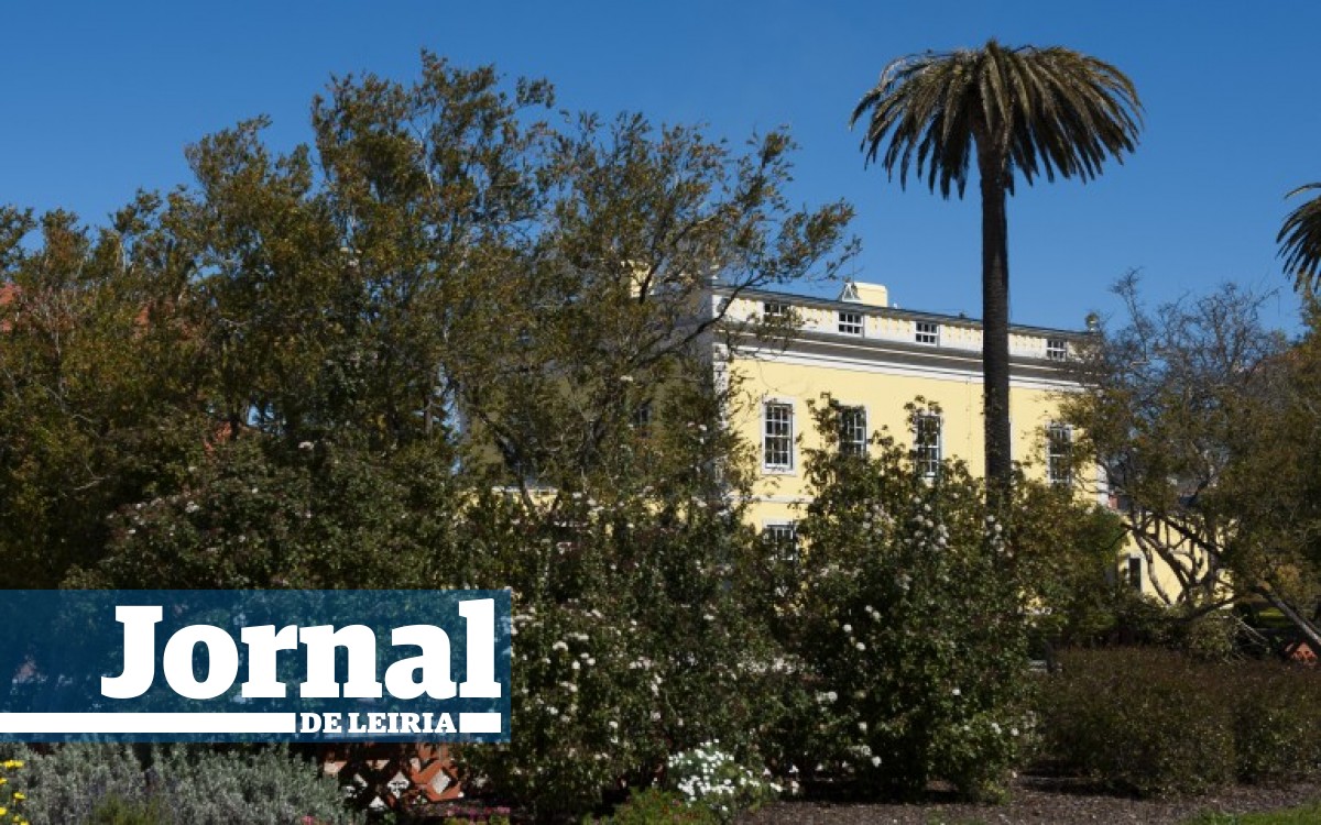 Jornal de Leiria - Covid-19: Marinha Grande com 7 dos 13 novos casos no ...