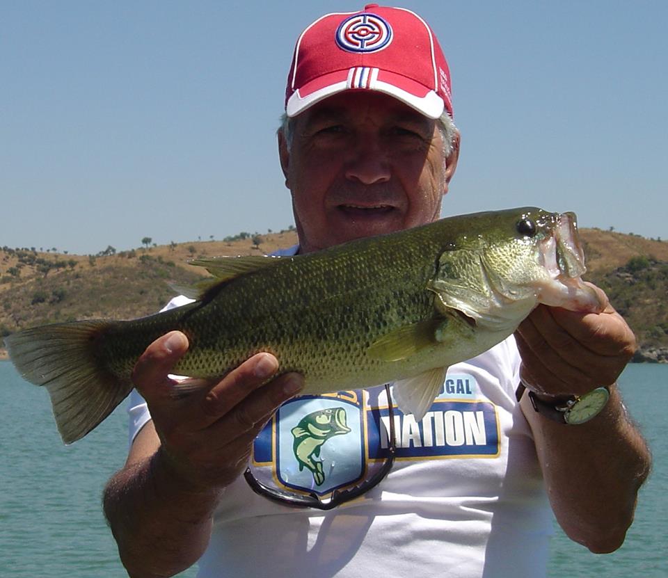 Jornal de Leiria - O ACHIGÃ UM PEIXE NATURALIZADO