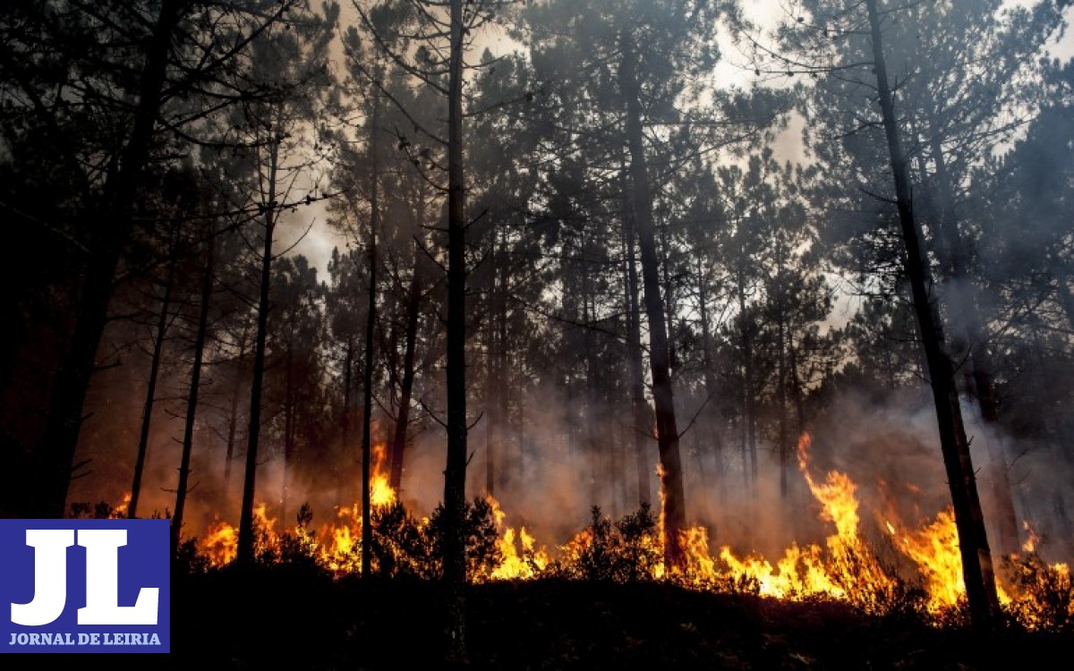 Jornal de Leiria - Com o fogo de Pedrógão Grande, "o pior já passou"