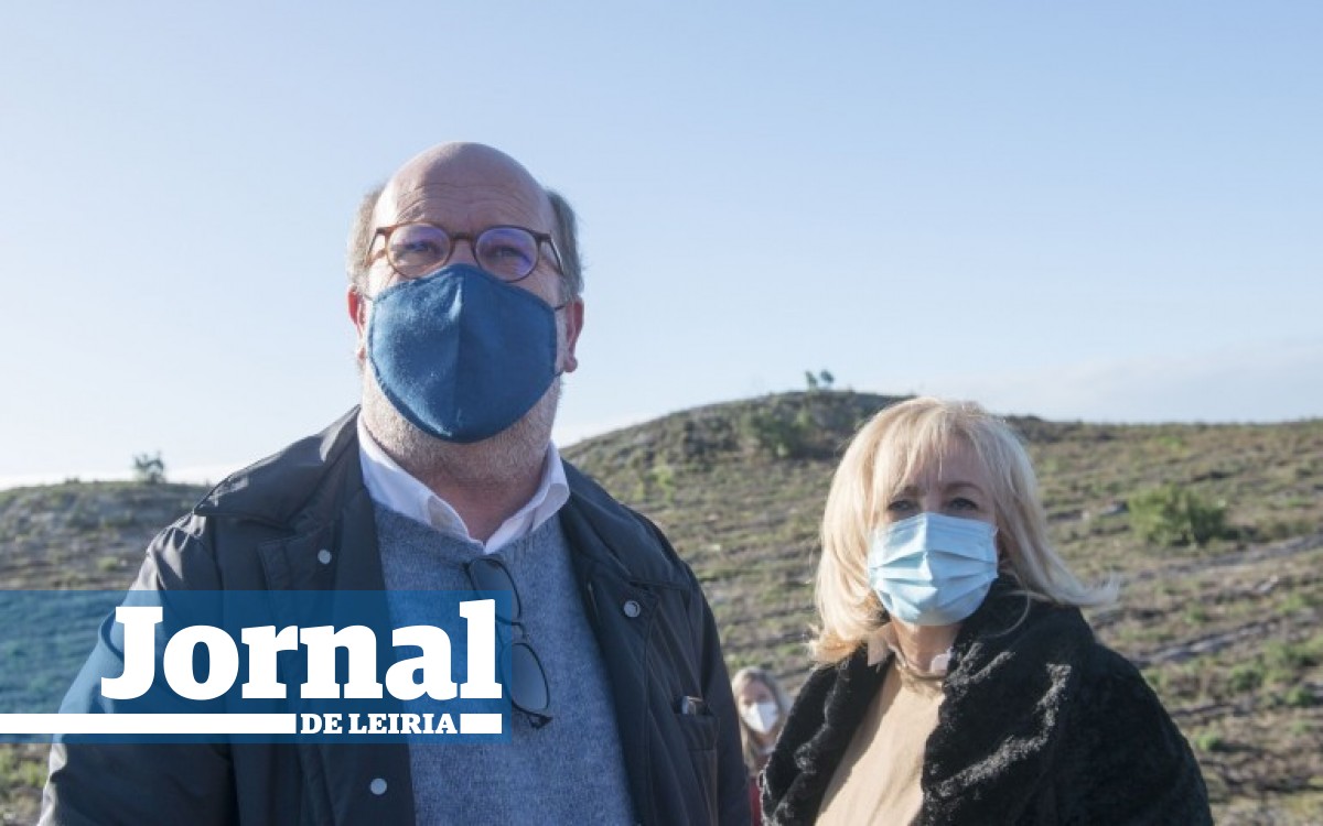 Jornal de Leiria - PS da Marinha Grande defende classificação do Pinhal ...