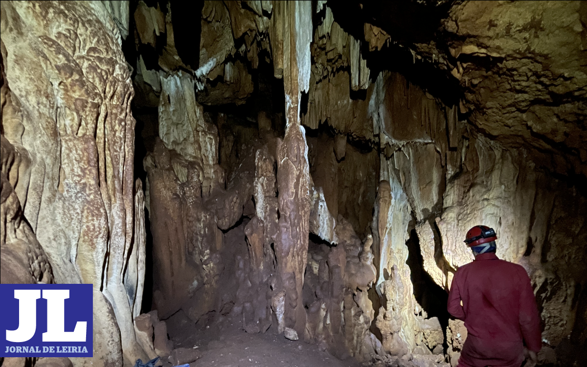 Jornal de Leiria - Ana Sofia Reboleira, de Caldas da Rainha coordena ...