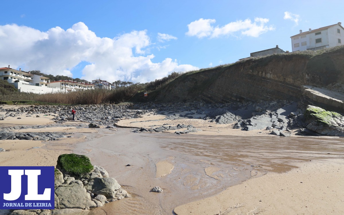 Jornal de Leiria - Espécie de réptil marinho com 190 milhões de anos ...