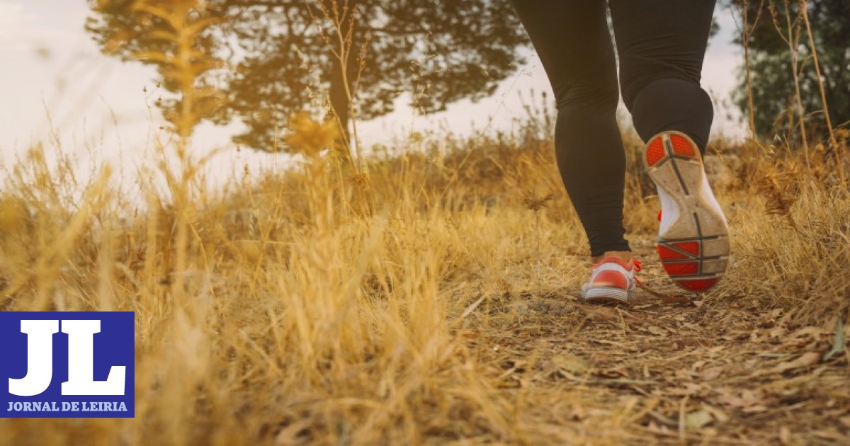 Jornal de Leiria - Trail Trilhos da Mata a 25 de Janeiro